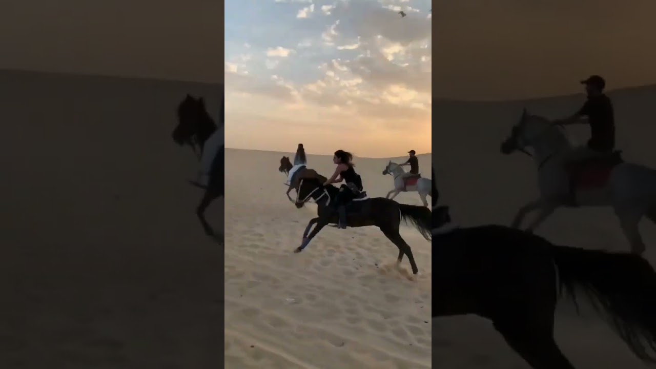 arabian horse riding by a beautiful lady in the desert. - YouTube