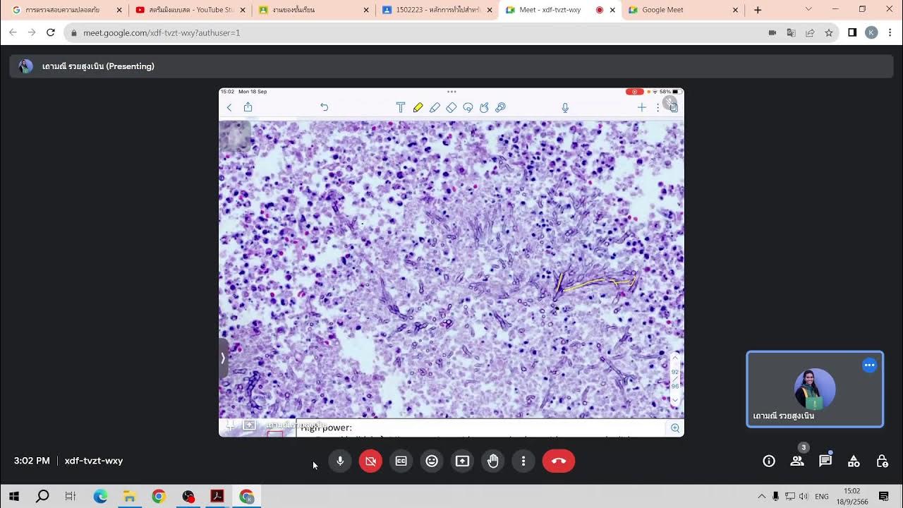 T45 (4 ข้อ) LAB15 - YouTube