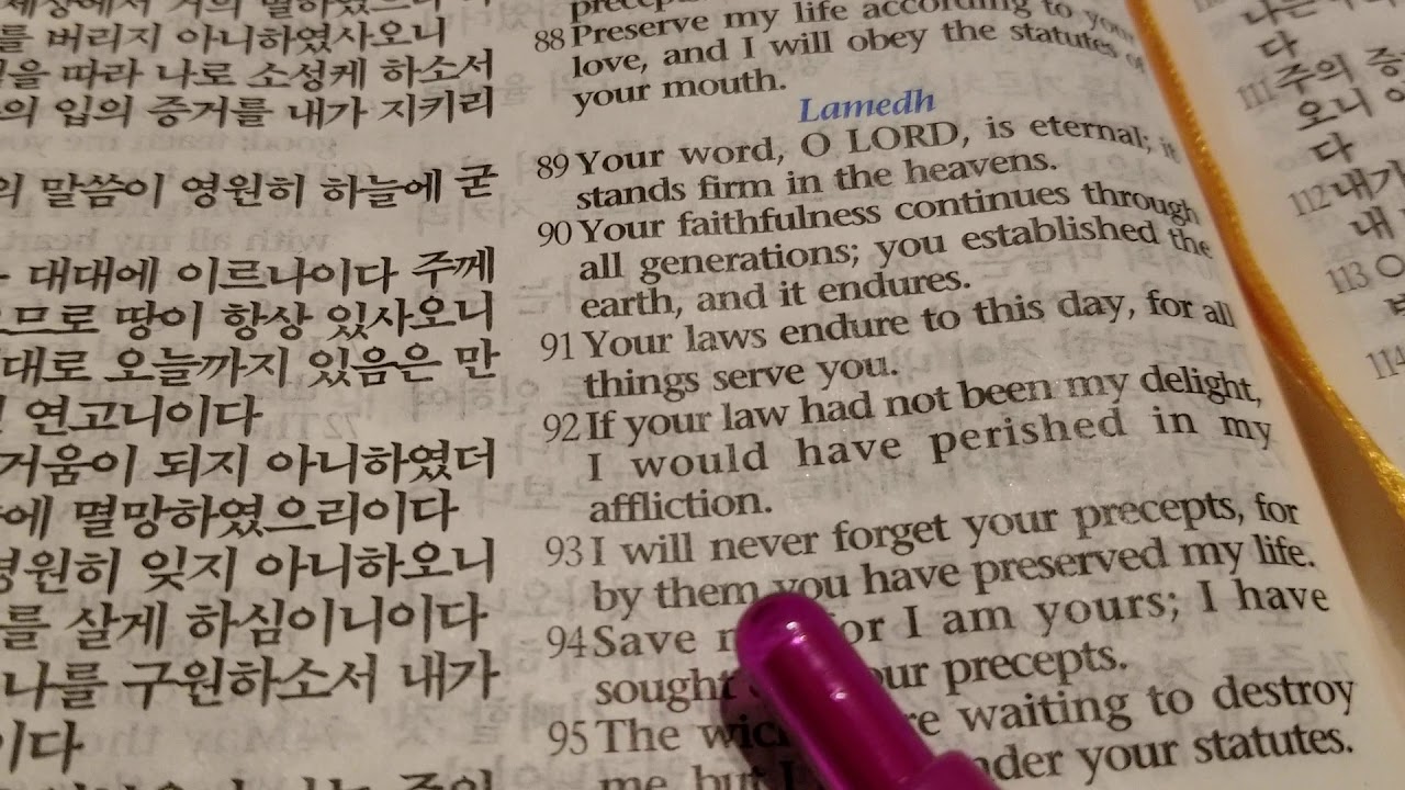 Psalm 119 91 96 To All Perfection I See A Limit But Your Commands Are