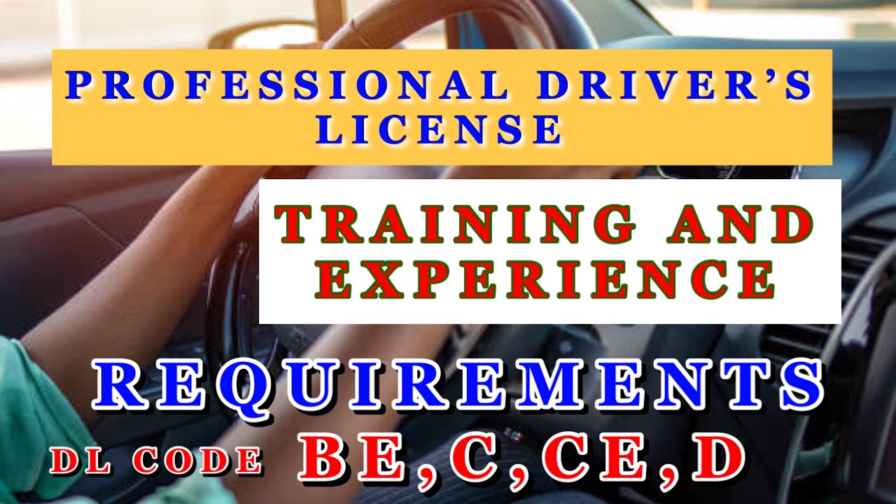 PROFESSIONAL DRIVER’S LICENSE TRAINING & EXPERIENCE REQUIREMENTS FOR DL ...