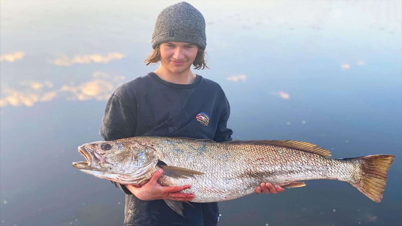 Big Landbased Mulloway/Jewfish On A Lure - YouTube