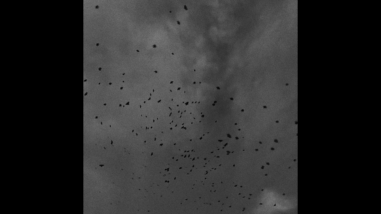 anatu - from now on [FULL ALBUM] - YouTube