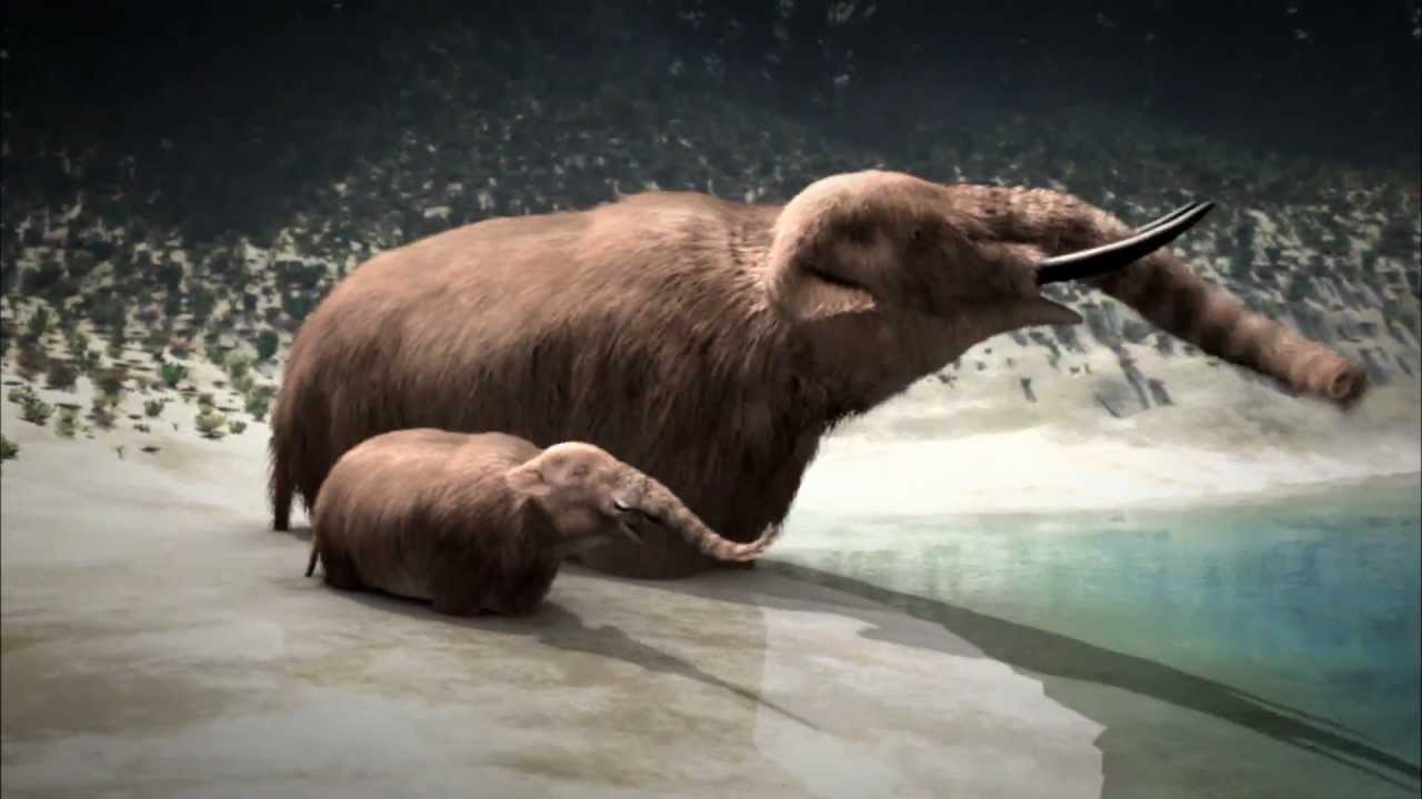NOVA | Ice Age Death Trap - YouTube