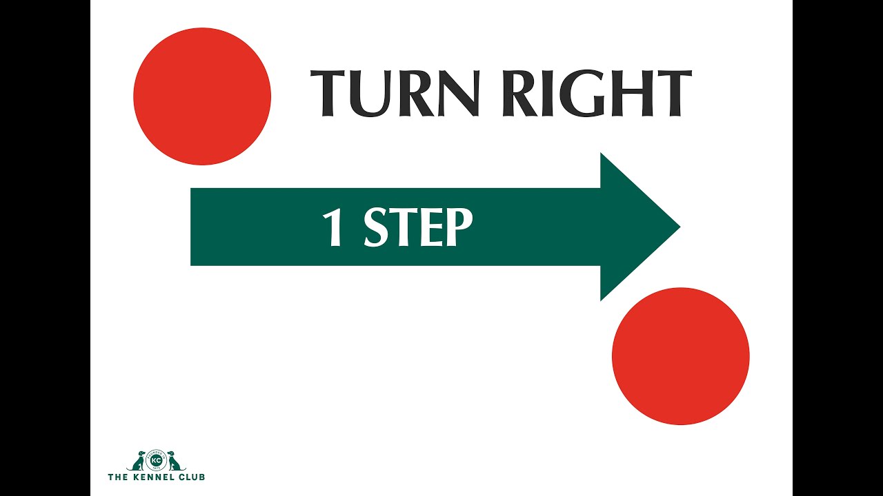Exercise 29: Sit Turn Right 1 Step Sit - YouTube