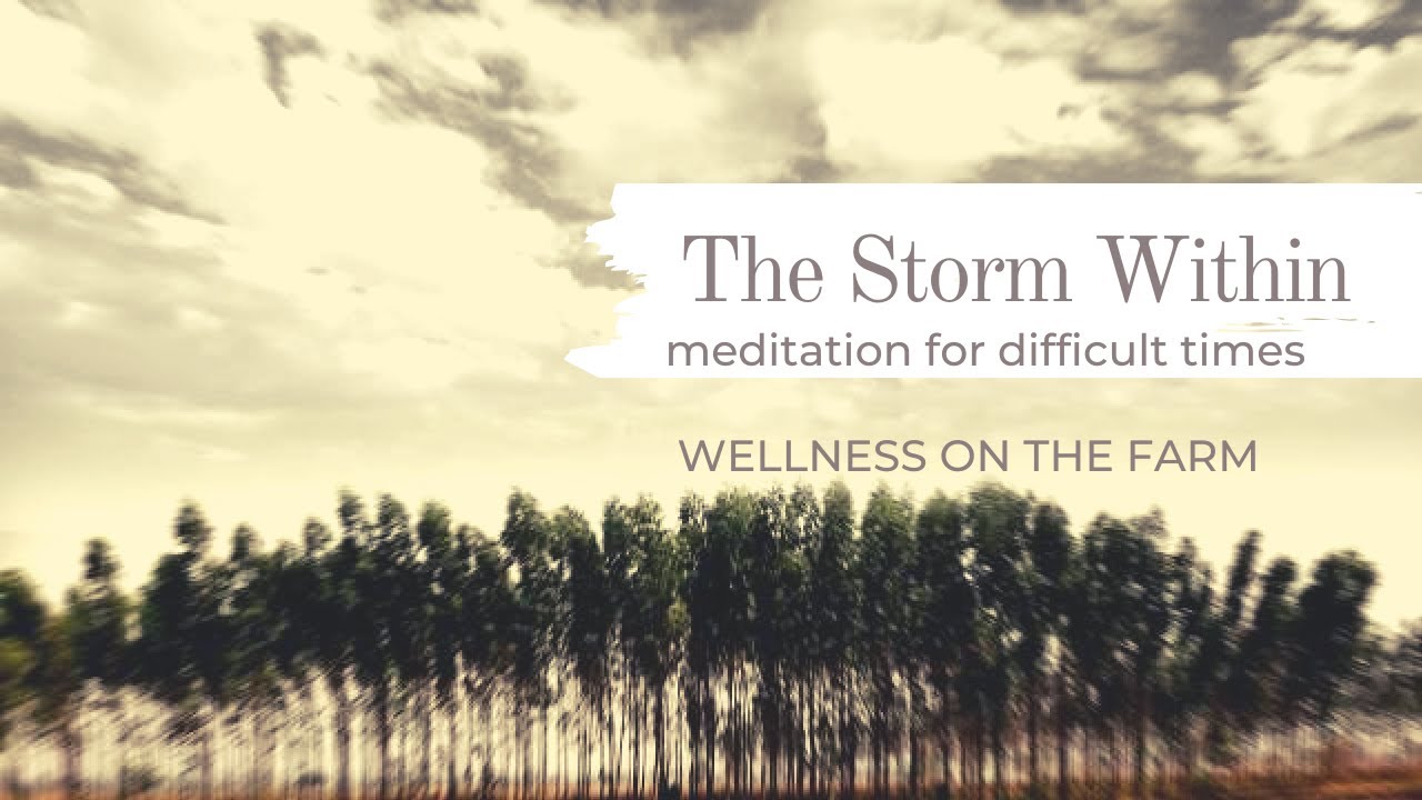 The Storm Within: Meditation for difficult times. Beginner friendly ...