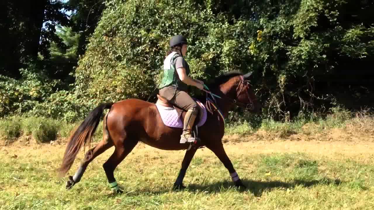 Amanda log 9/7/15 TMF - YouTube