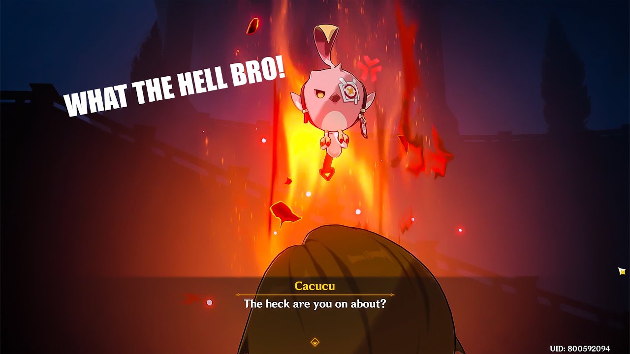 How Dare you Call me a Pet BRO!- Cacucu - YouTube