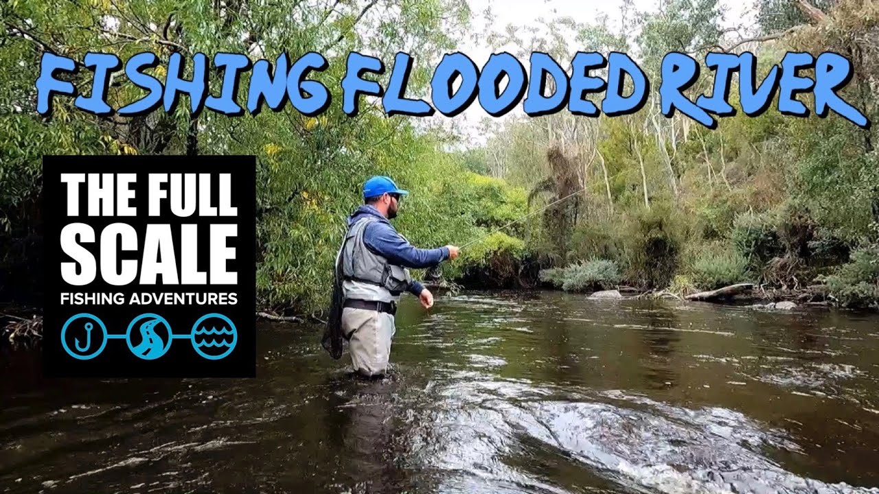 Fishing a Flooded River | Euro Nymphing | Tyenna River | The Full Scale ...
