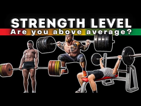 How Much Can The Average Fit Man Squat