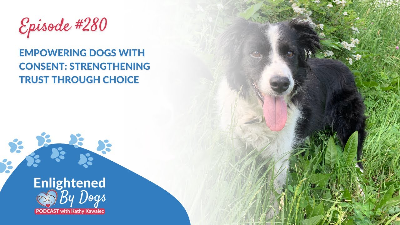 EBD280 encore Empowering Dogs with Consent Strengthening Trust Through ...