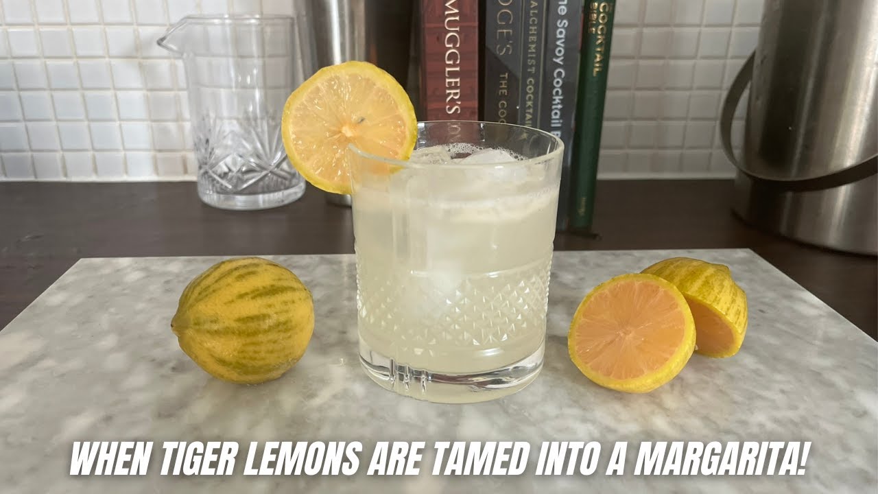 Taming the Tiger Lemon and turning it into a Margarita - YouTube