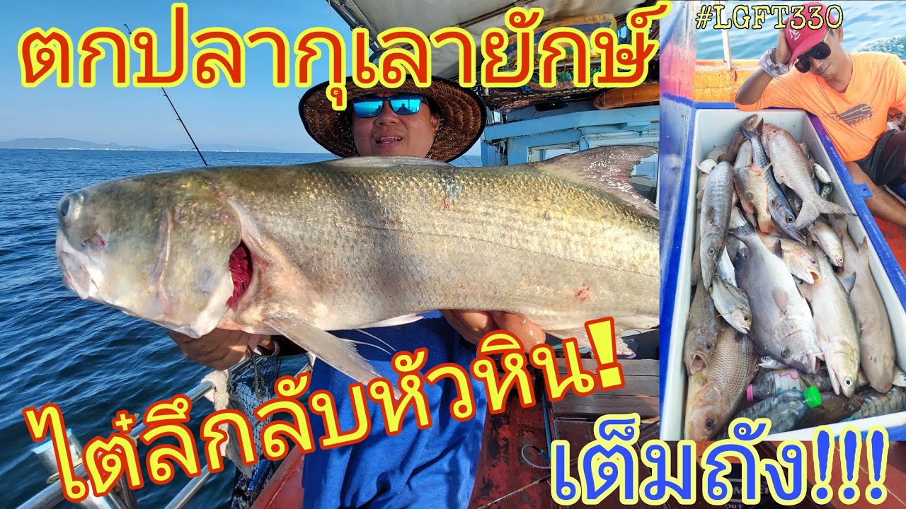 ตกปลากุเลายักษ์กับไต๋ลึกลับหัวหิน เต็มถัง!!! #LGFT330 - YouTube