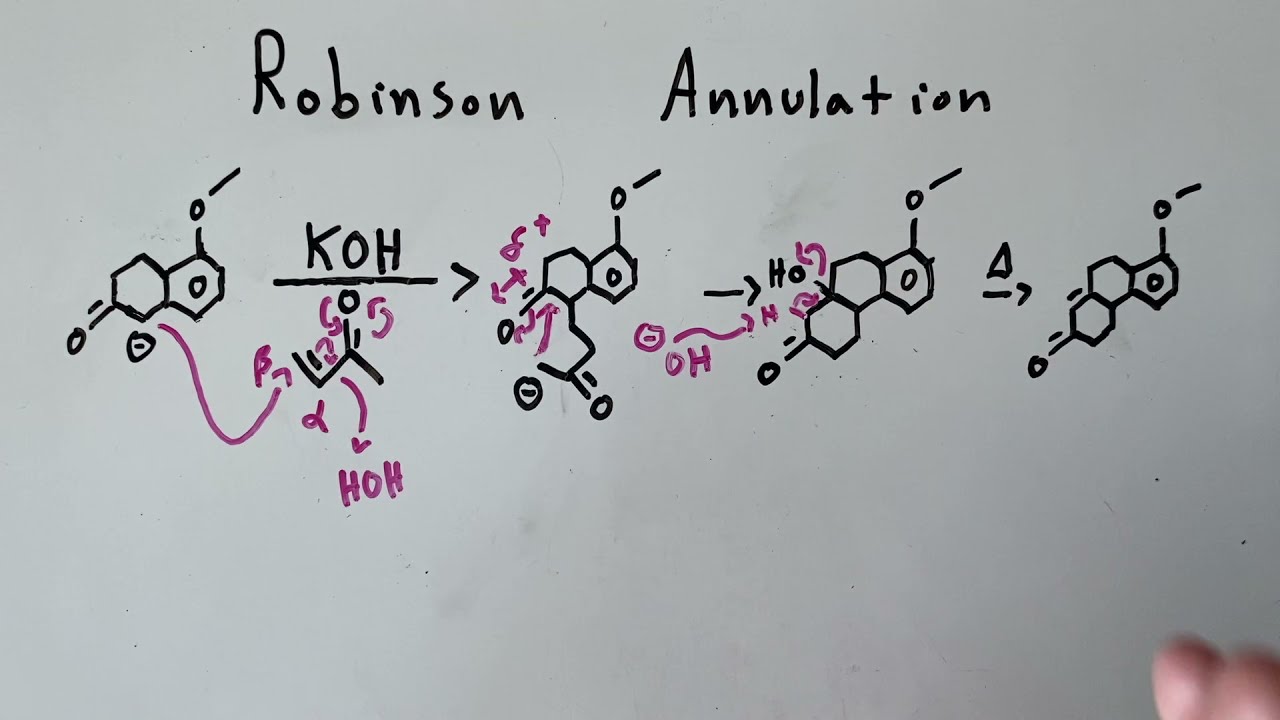 Robinson Annulation (in depth mechanism) - YouTube