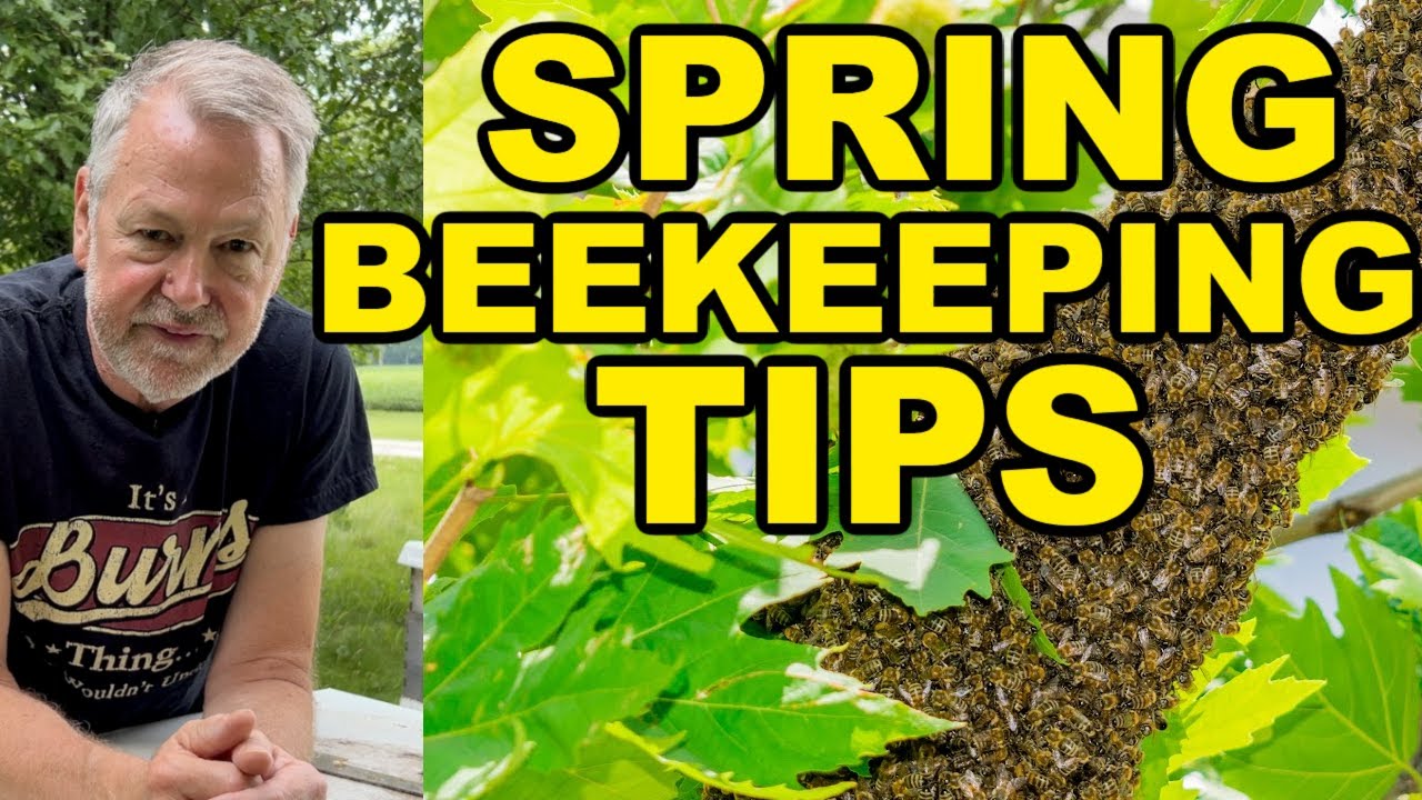 Beekeeping Tips For SPRING 🐝 🌺 - YouTube