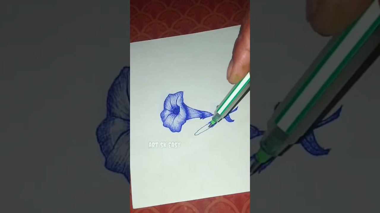 morning glory flower drawing | how to draw glory flower | new video ...