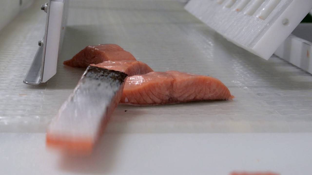 Skagerak Salmon 02 portions gyro freezer - YouTube