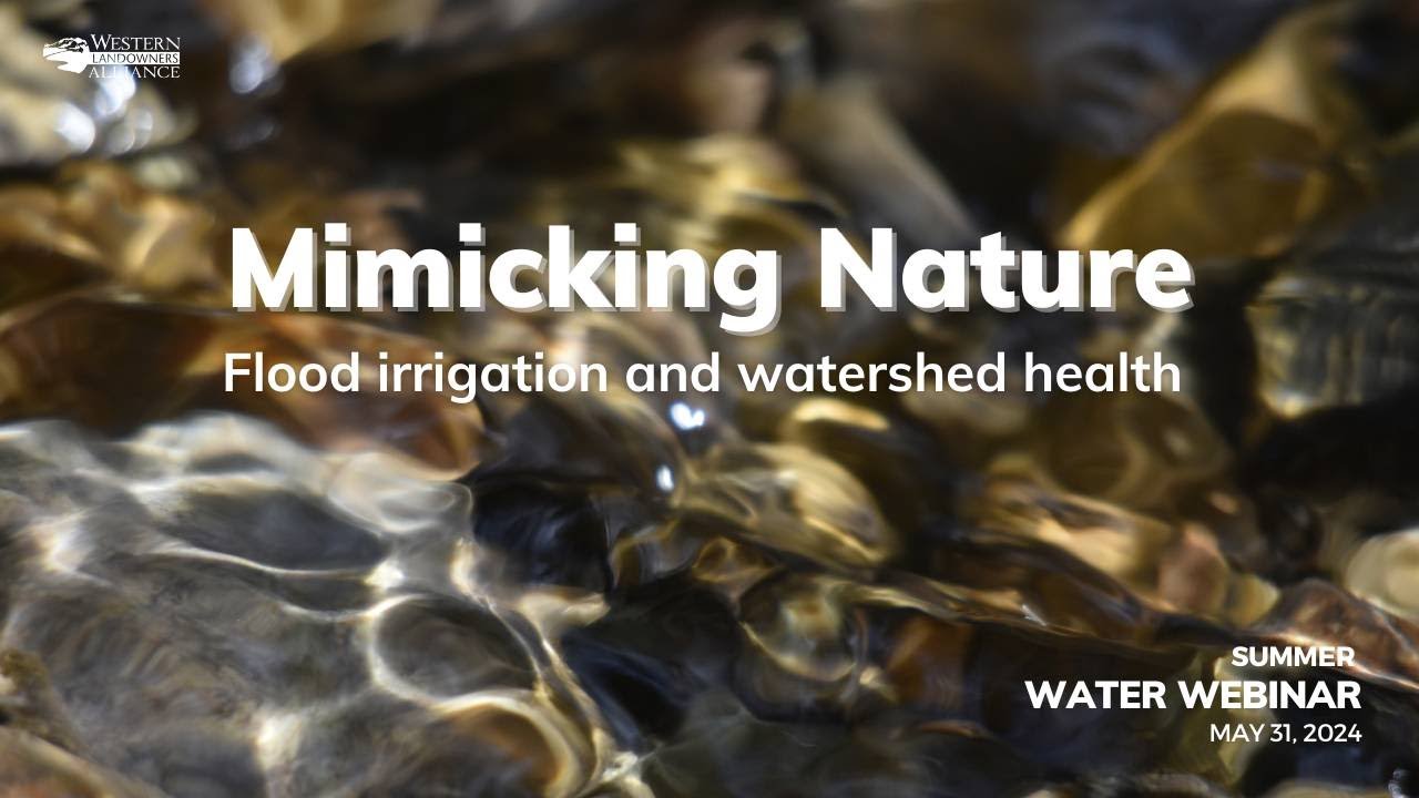 Mimicking Nature: Flood irrigation and watershed health - YouTube
