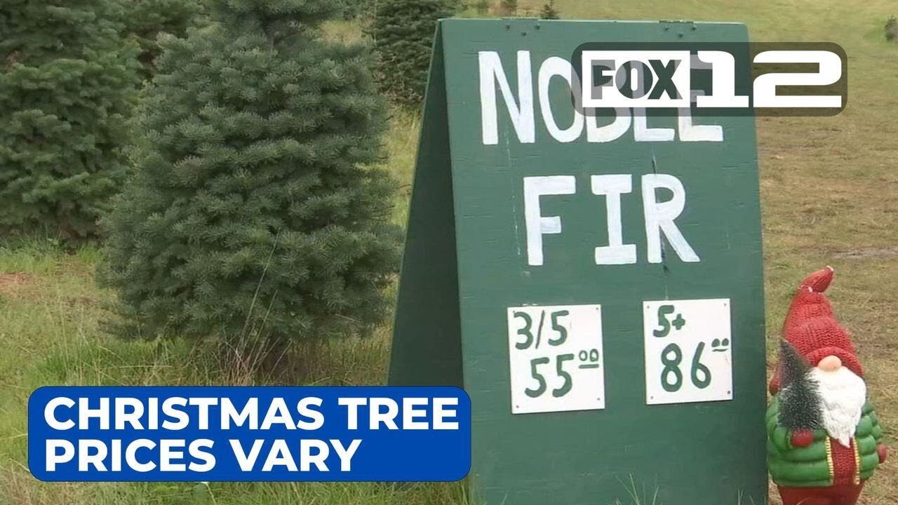 Christmas tree prices around the metro area vary this holiday season ...