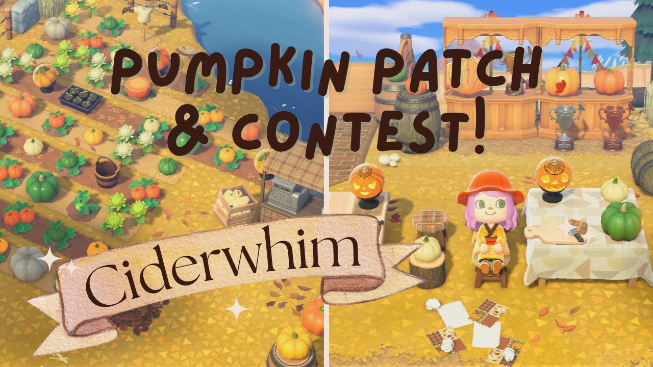 Friendsgiving Builds 🎃 | Pumpkin Patch + Contest on Ciderwhim - YouTube