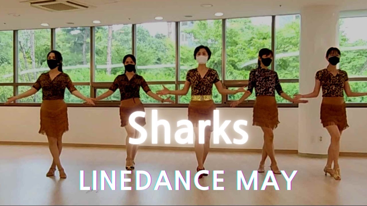 Sharks Line Dance (Intermediate: Julia Wetzel)-Demo - YouTube