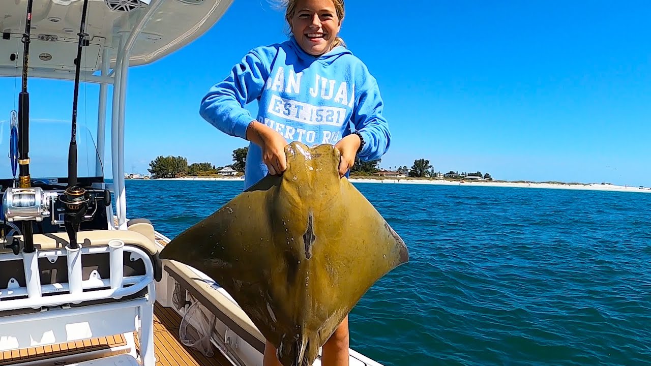Cow Nose Ray Catch Clean and Cook! Does It Taste like Beef? - YouTube