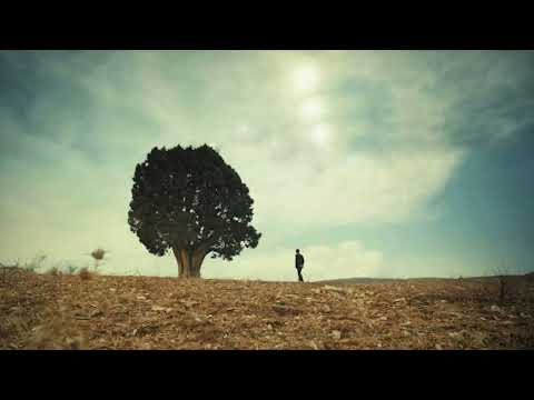 Sen ve Ben ~ Abdurrahim Karakoç #abdurrahimkarakoç #senveben #şiir #şair #trendvideolar #keşfett