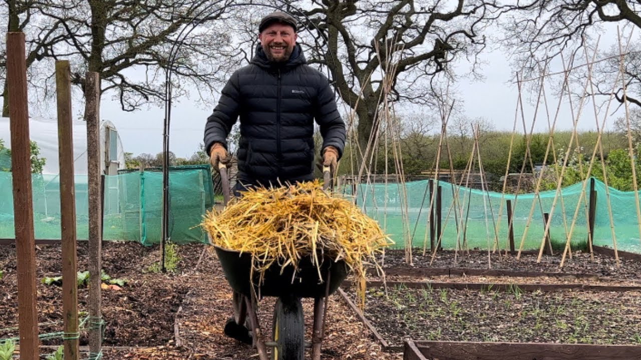 PLANTING POTATOES WITH STRAW | Learning how to Grow food on an Allotment Plot in the UK | EP87 ...
