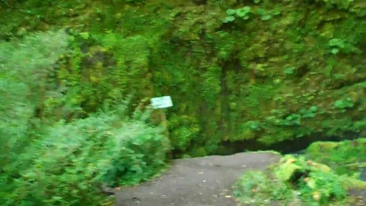 CASCADA PUERTO OCTAY CHILE - YouTube