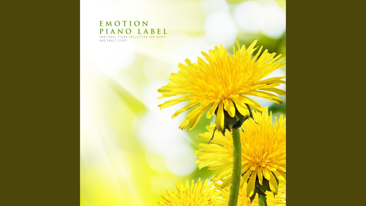 Rabbit In The Moon - YouTube