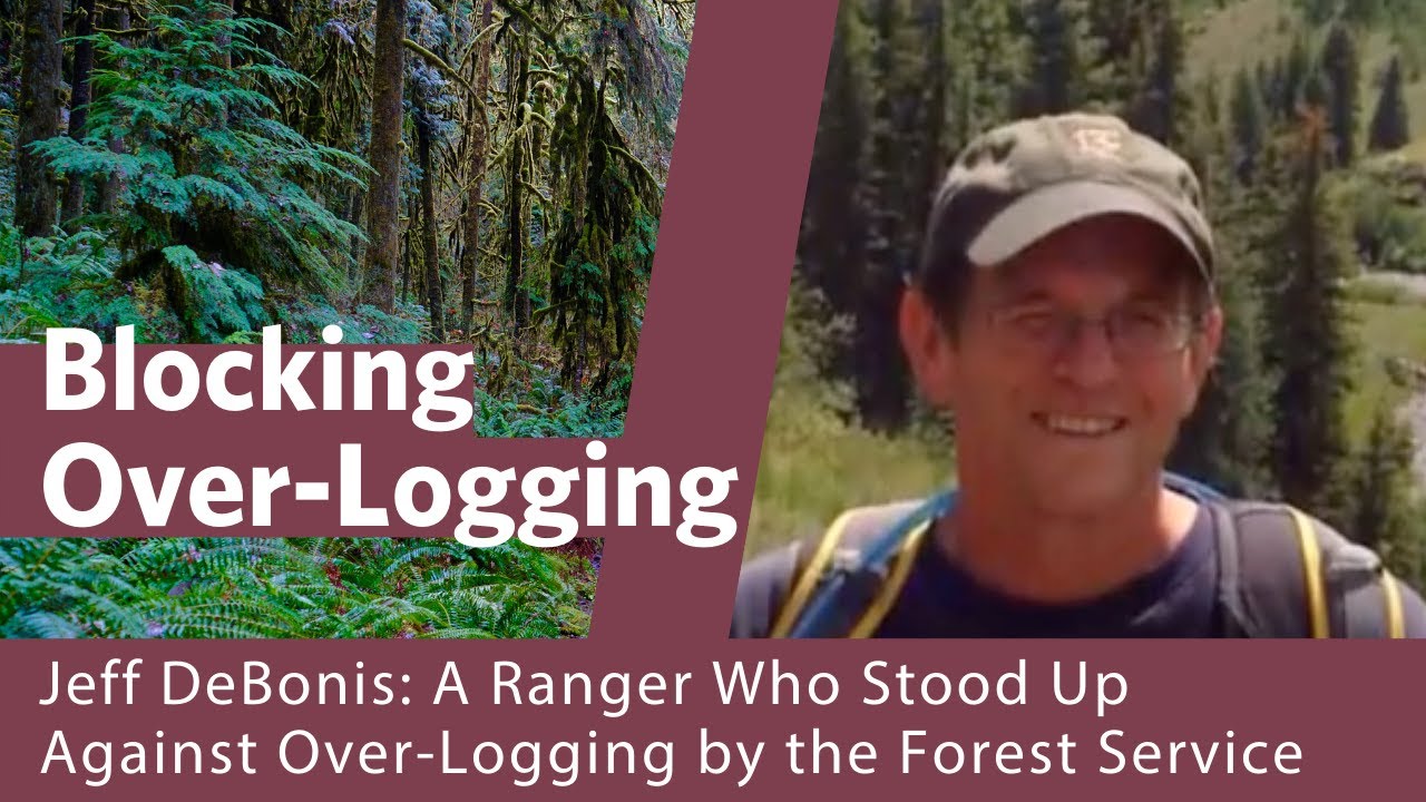 Jeff DeBonis, A Ranger Who Stood Up Against Over-Logging by the Forest ...