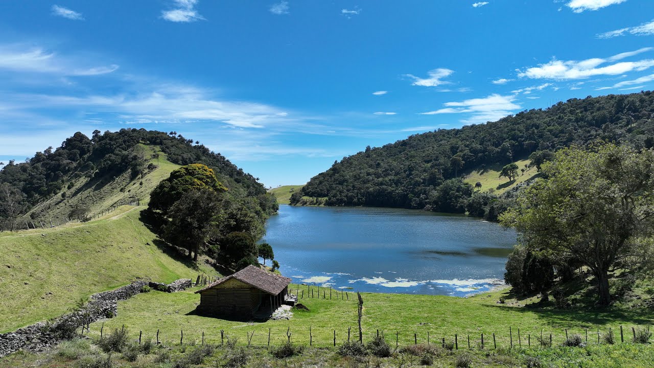 Lagunas Blanca, Negra, Los Lirios y Las Palmas o Brava. Tovar y ...