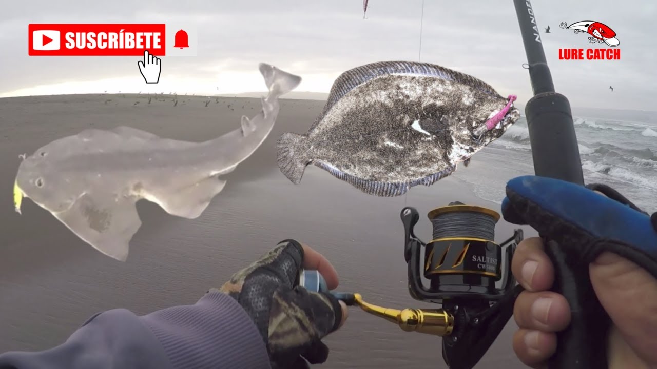 Pesca de Angelote y un gran Lenguado en Arica - Chile - YouTube
