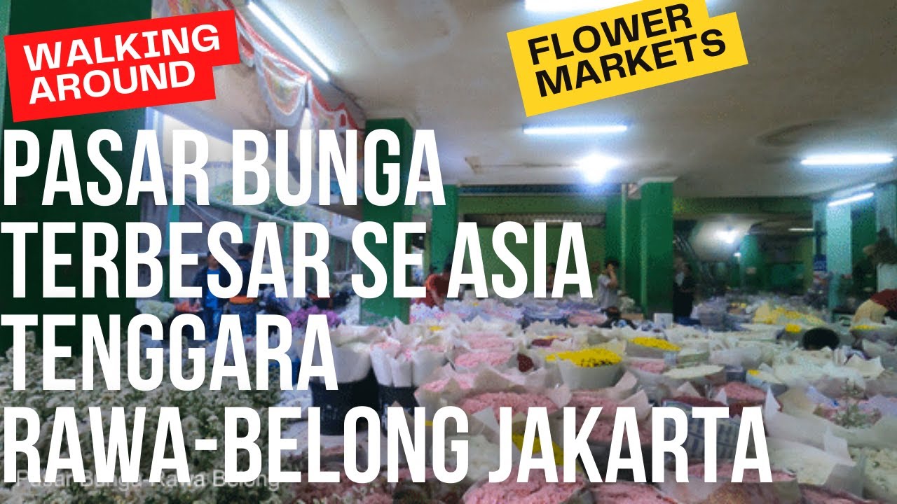 4K Walking Around | Keliling Melewati Pasar Bunga Rawa Belong | warna ...