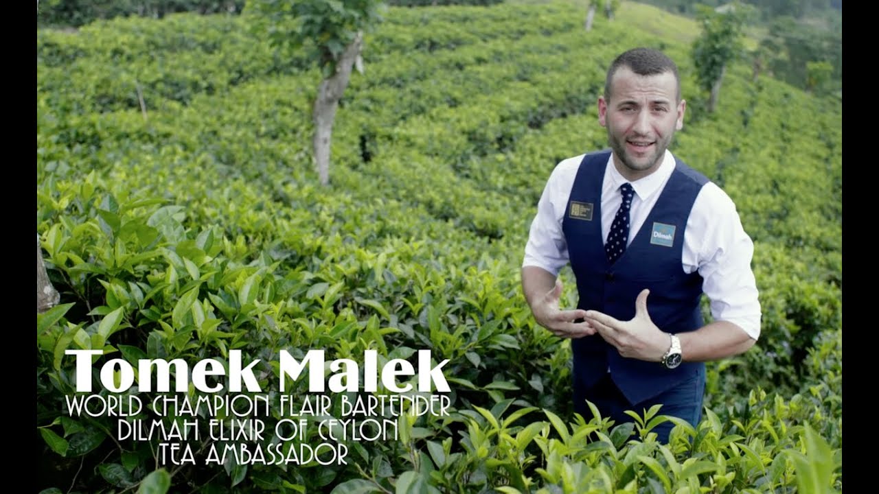 How Dilmah Elixir of Ceylon is Made - YouTube