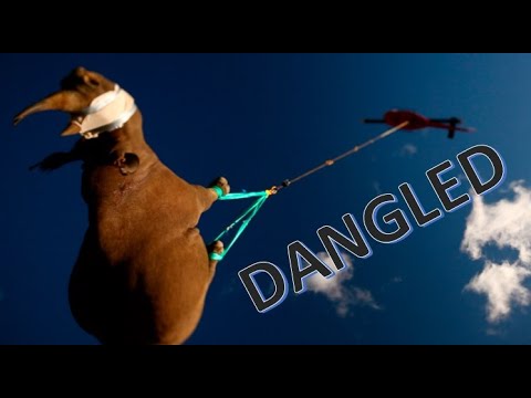 Why Is What's Happening to the World, Happening? (Pinball Preparedness ...