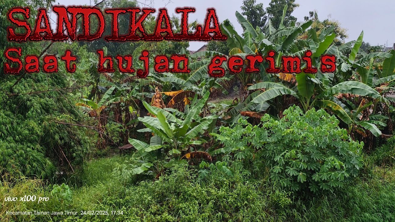 Live misteri pembuktian sandikala hujan gerimis - YouTube