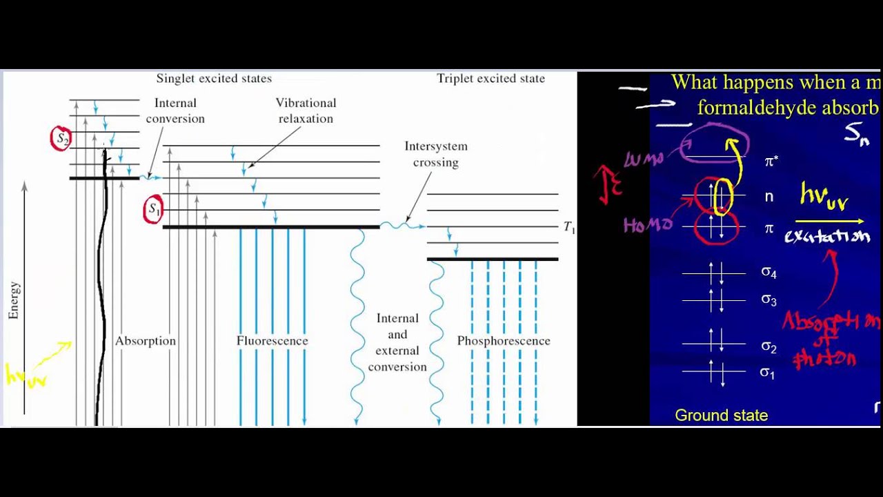 Internal Conversion and Photoprotection: Applications in Biochemistry ...