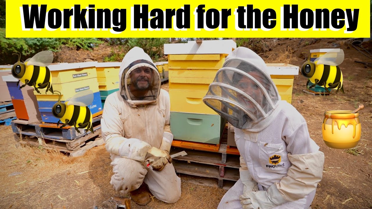 They Work Hard for the Honey at Maui Bee Farm / Show the World Your ...