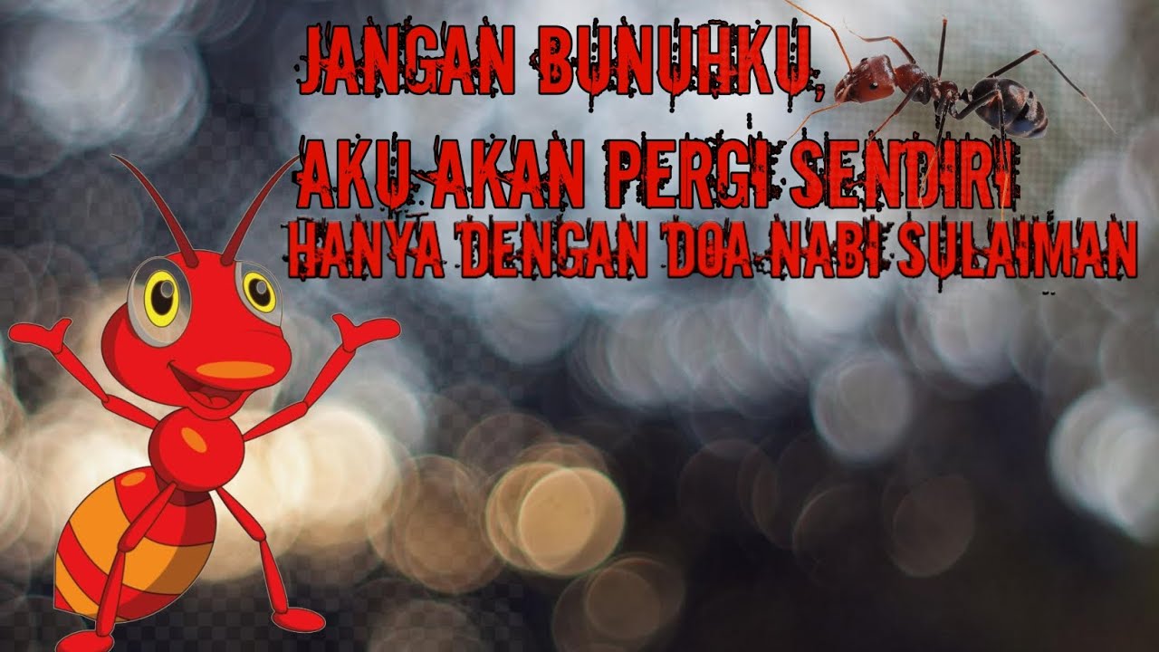kisah dan doa|Nabi Sulaiman dan semut| halau semut - YouTube