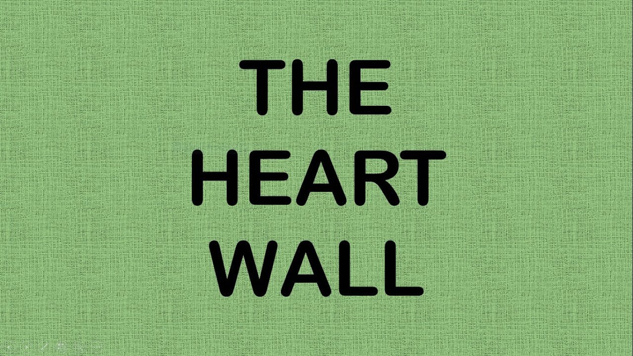 The Heart Wall - YouTube