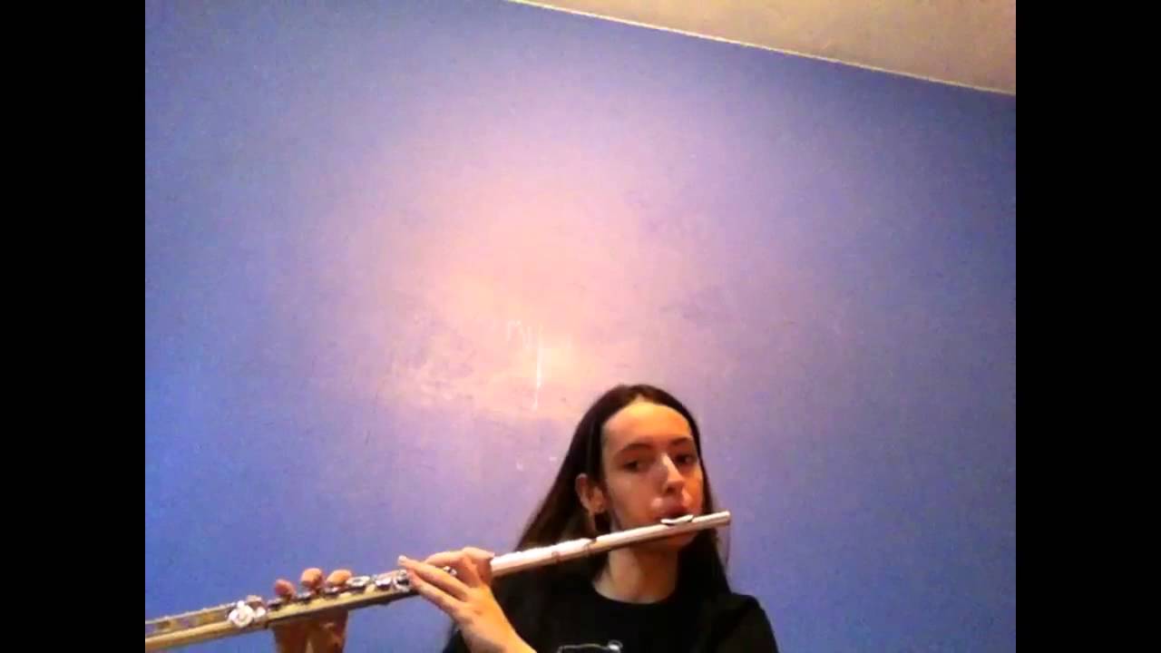 Super mario bros theme on the flute - YouTube