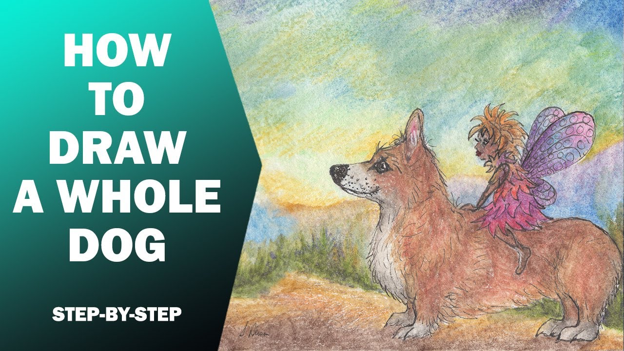 How to Draw a Whole Corgi Dog - side, front and back views - step-by ...