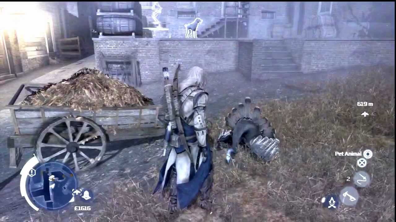 Assassins Creed 3 - Petting Animals - YouTube