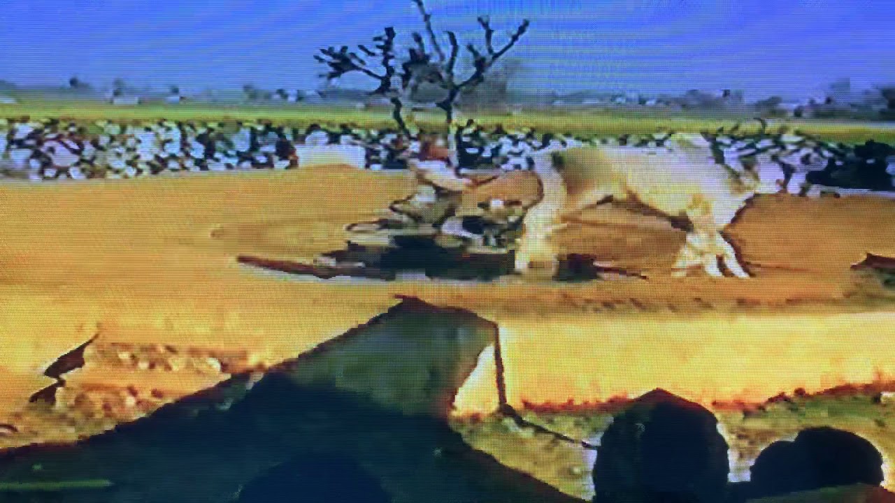 Pind jagatpur 2000 Lehmber Singh lehal kalan maru bald - YouTube