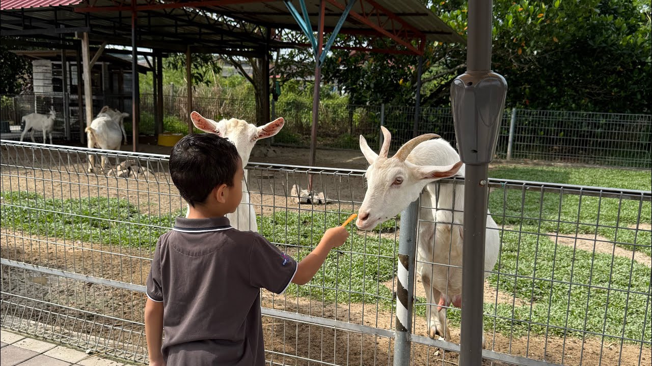 HARO DAIRY FARM - YouTube