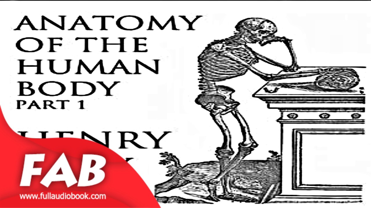 Anatomy of the Human Body, Part 1 Gray's Anatomy Part 1/2 Full ...