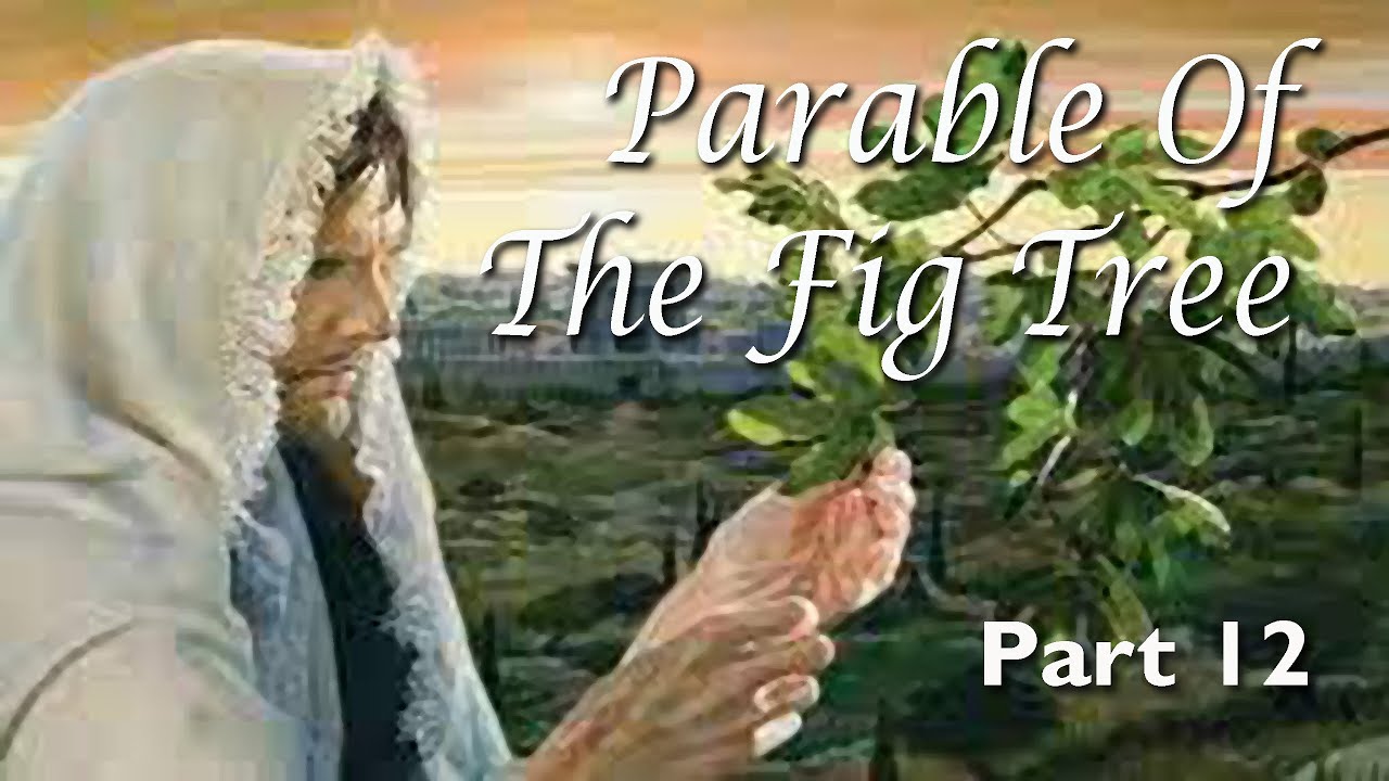 Ep 31. Parable Of The Fig Tree - Part 12 - YouTube