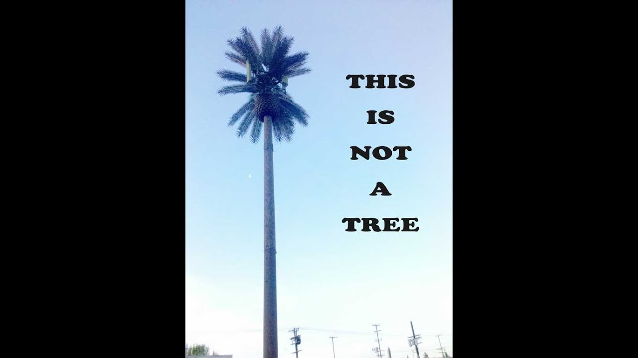 This Is Not A Tree - YouTube