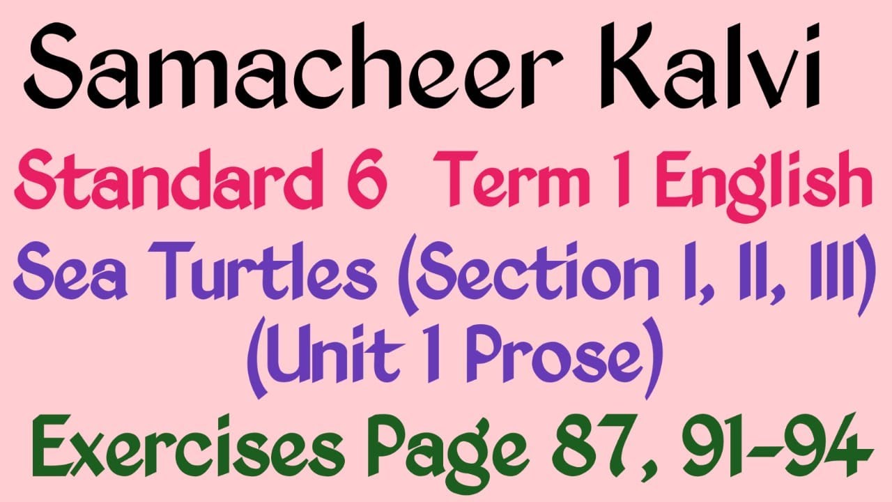 Sea Turtles - Exercise | 6th Class Unit 1 | Term 1 English | Samacheer ...