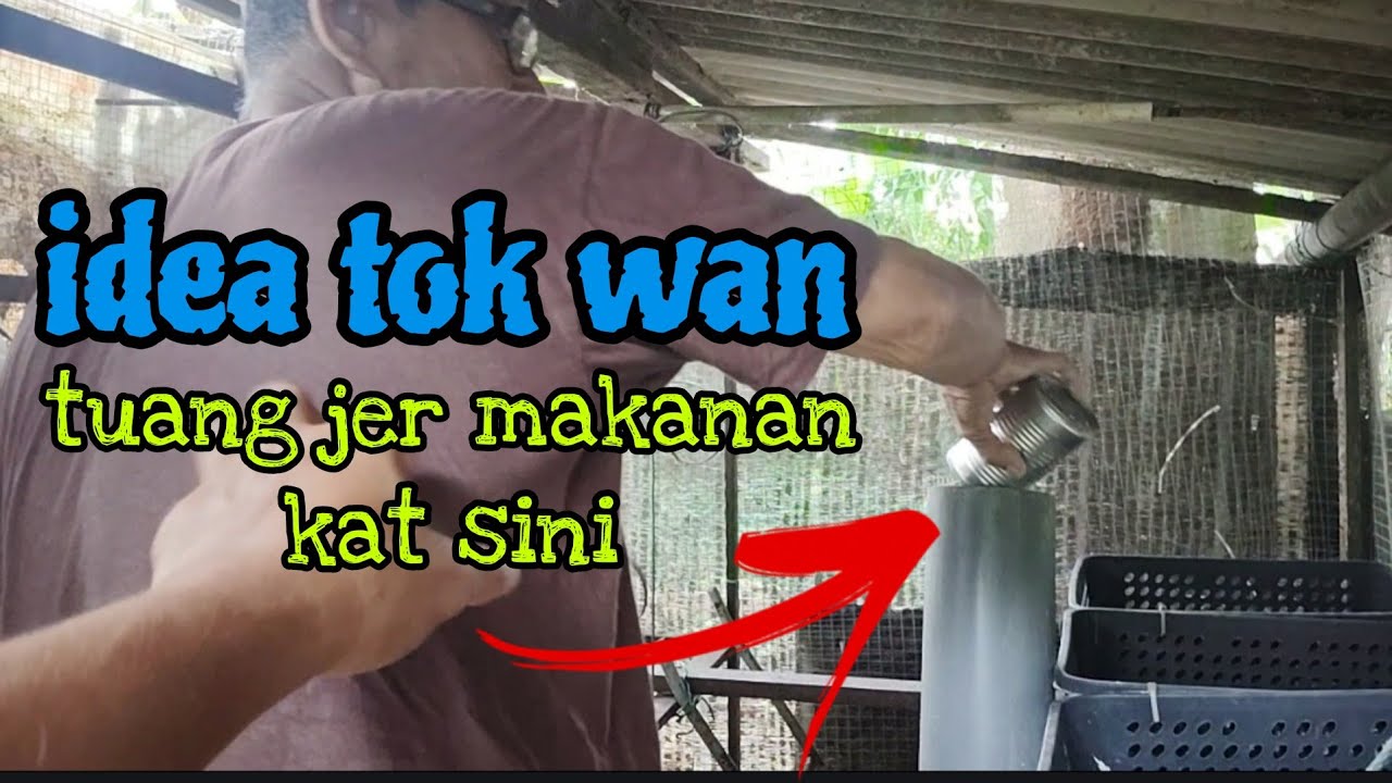 [Episod1557] tok wan buat inovasi tempat makan ayam. mudah dan murah ...